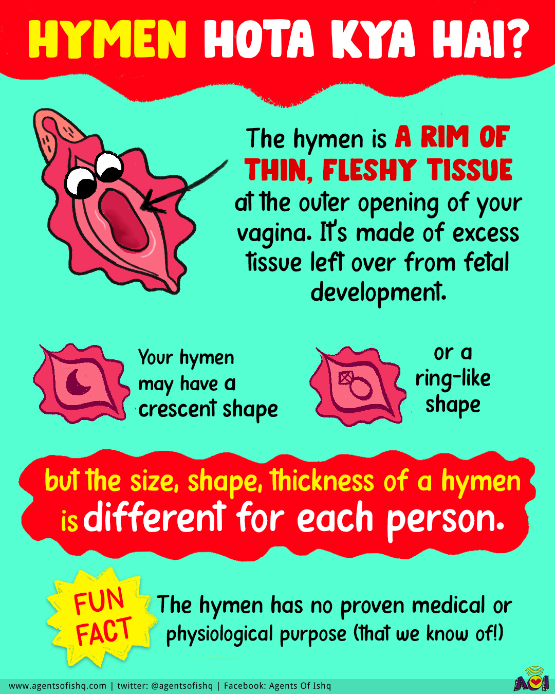 What Is The Hymen? — Agents of Ishq